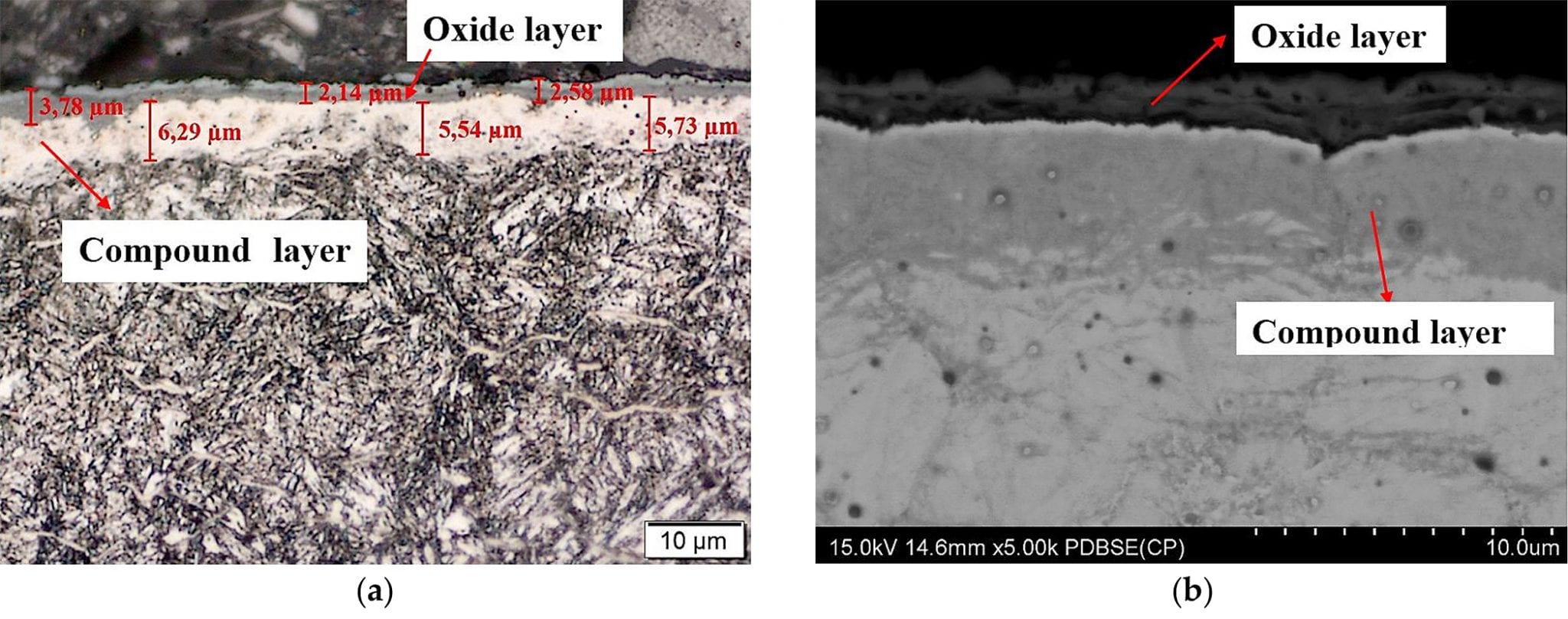 A study of temperature effect on properties of nitride layers on ...
