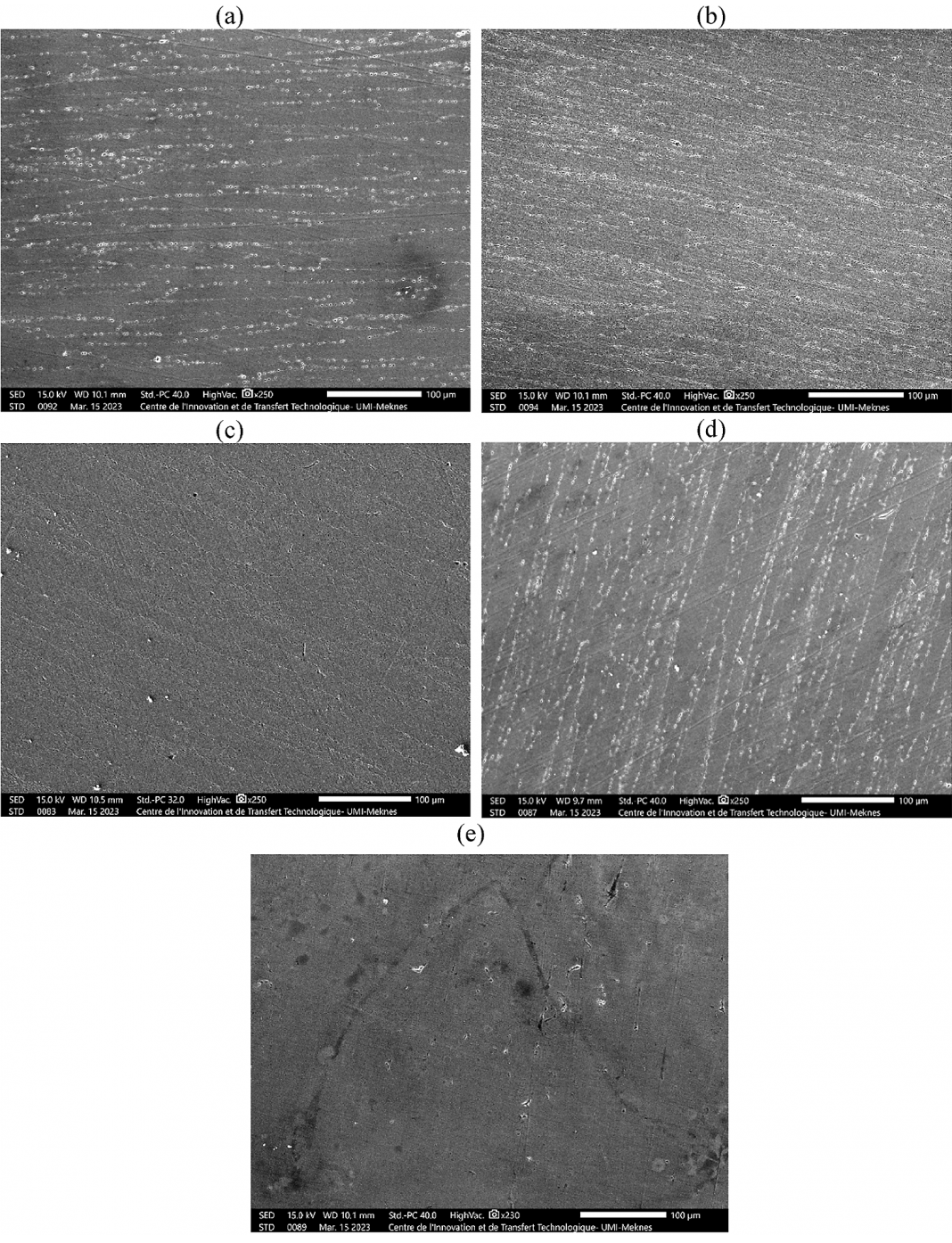 Homogenization heat treatment influence on microstructure evolution and ...