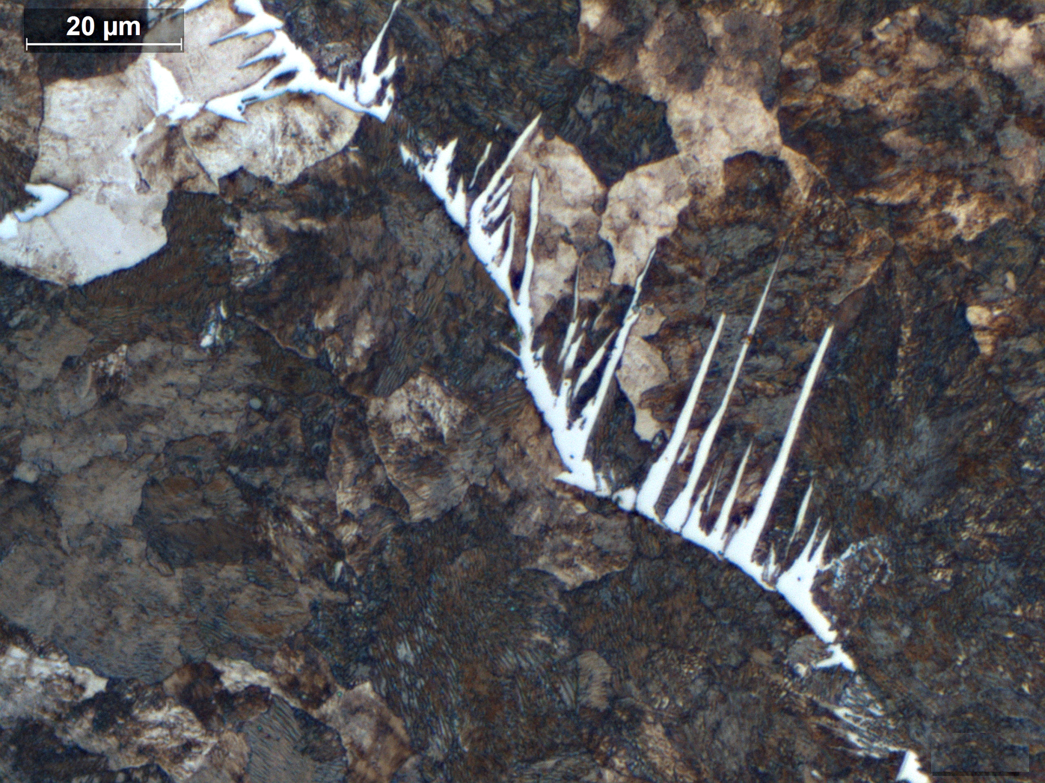 Widmanstätten ferrite | Thermal Processing Magazine